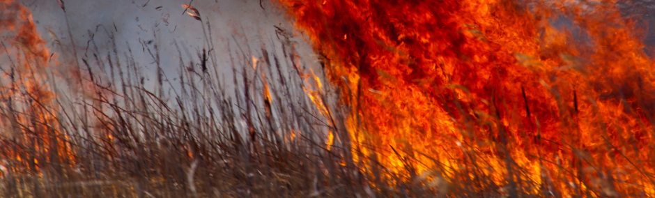 Prevent and Prepare - Department of Lands