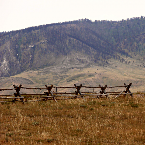 Rangeland Fire Protection Associations - Department of Lands