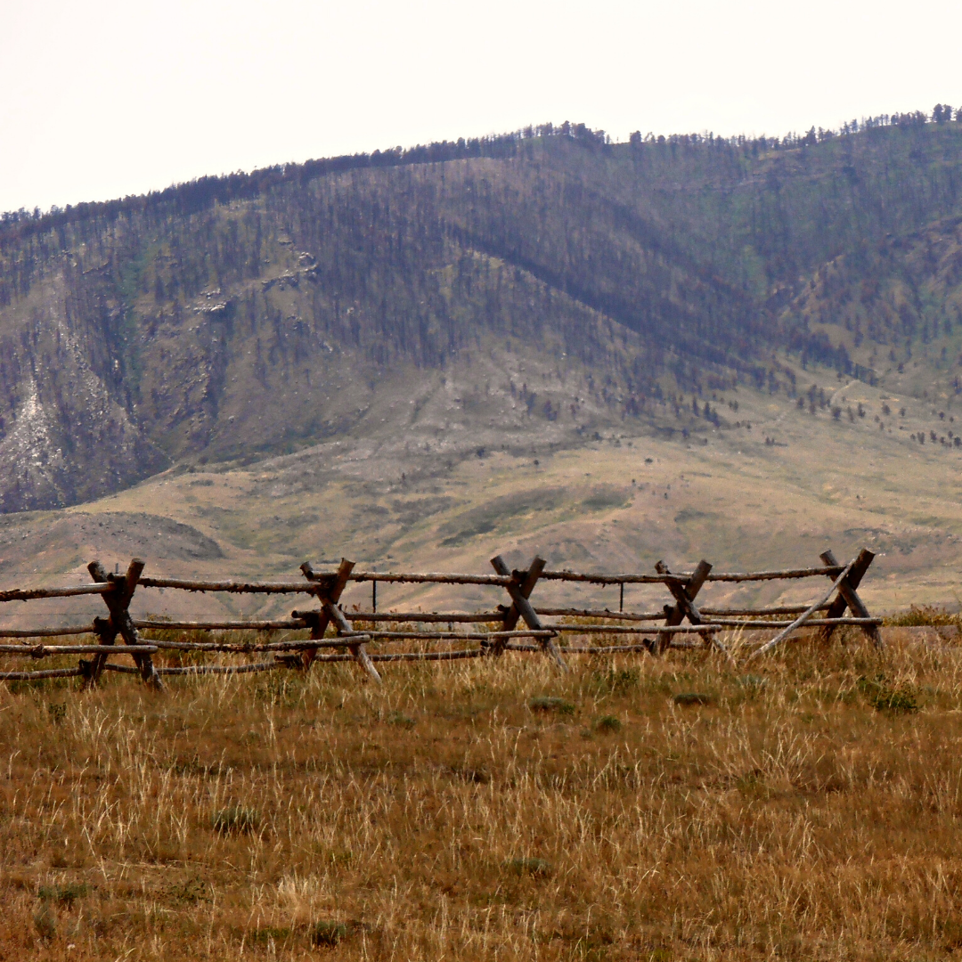 Rangeland Fire Protection Associations - Department of Lands