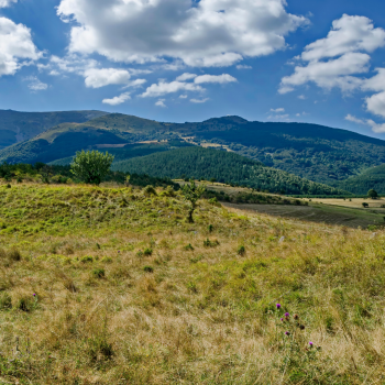 Rangeland Fire Protection Associations - Department of Lands
