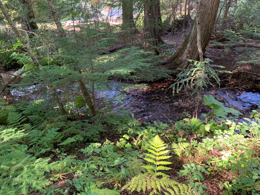 Forest Practices Act - Department of Lands