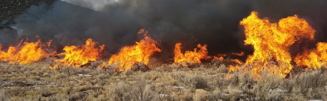 Forestry and Fire Grants - Department of Lands