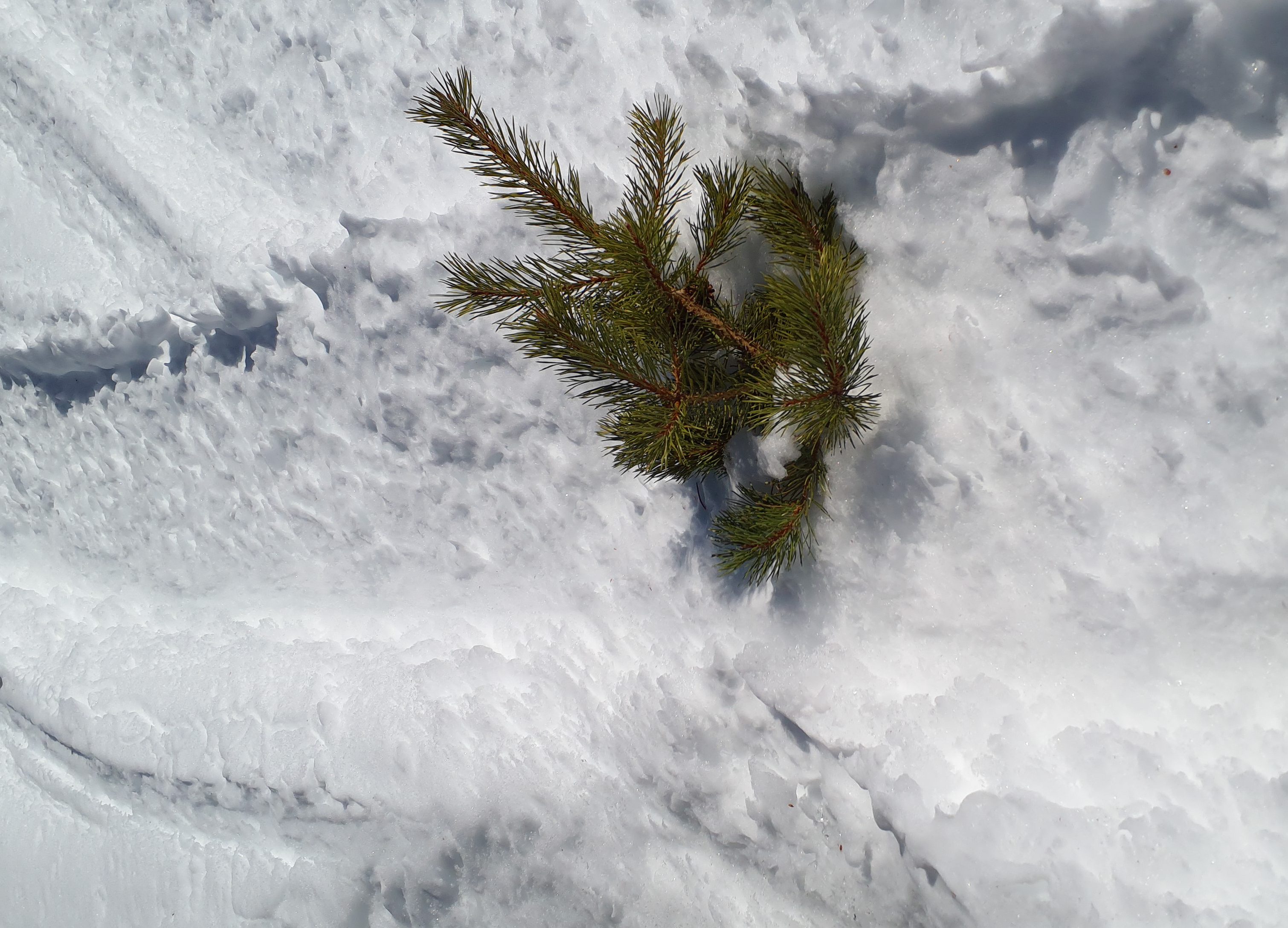 Home - Department of Lands